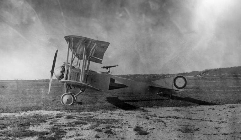 Lebed Type XII - War Wings Daily