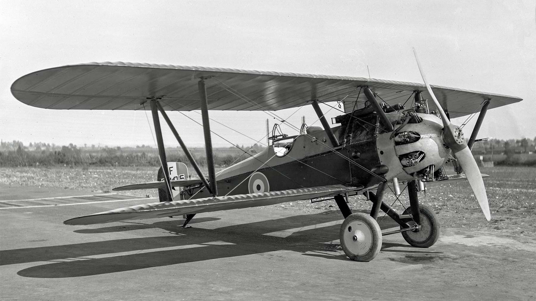 Bristol Badger - War Wings Daily