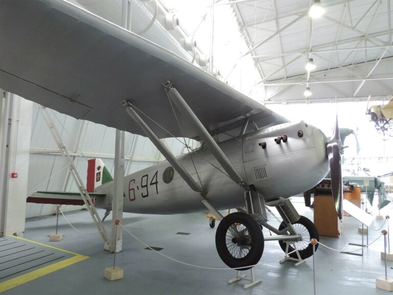 Dewoitine D.1 - War Wings Daily