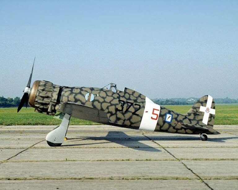 Macchi C.200 Saetta - War Wings Daily