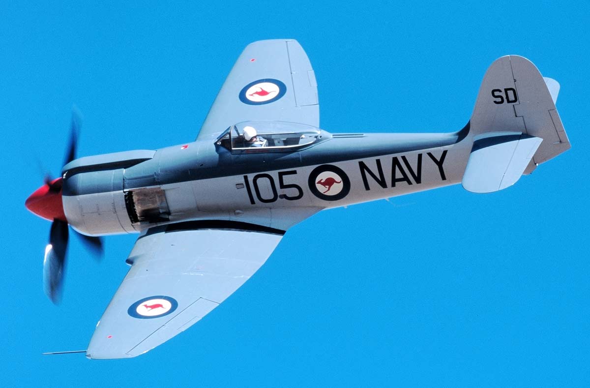 Hawker Sea Fury - War Wings Daily
