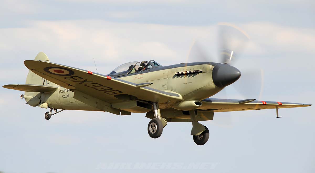 Supermarine Seafire - War Wings Daily