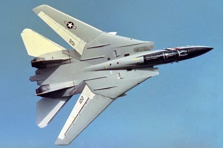 Grumman F-14 Tomcat - War Wings Daily