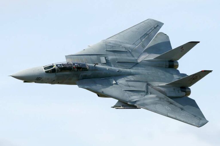 Grumman F-14 Tomcat - War Wings Daily
