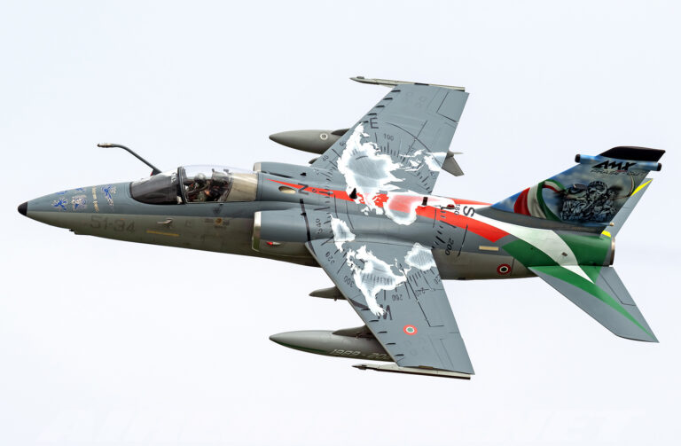 AMX International AMX - War Wings Daily