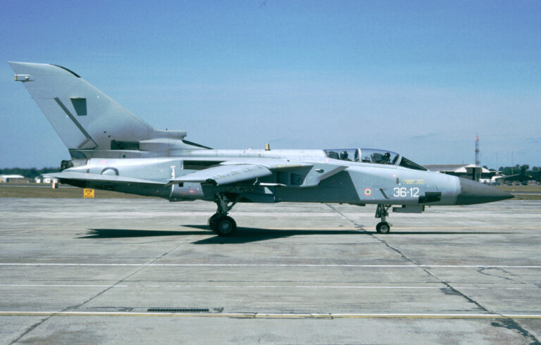 Panavia Tornado ADV (Air Defense Variant) - War Wings Daily