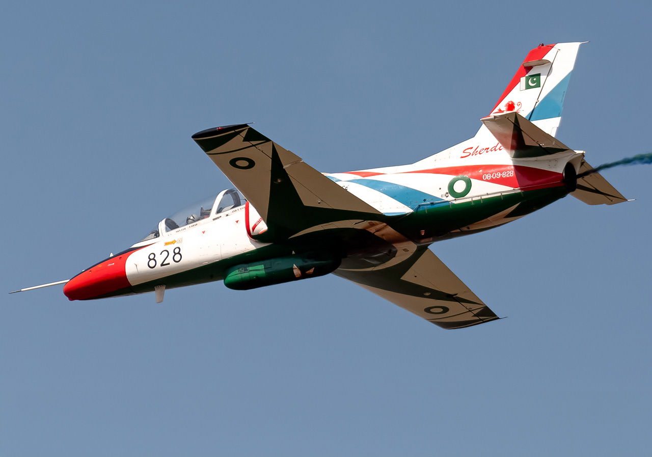 Hongdu JL-8 - War Wings Daily