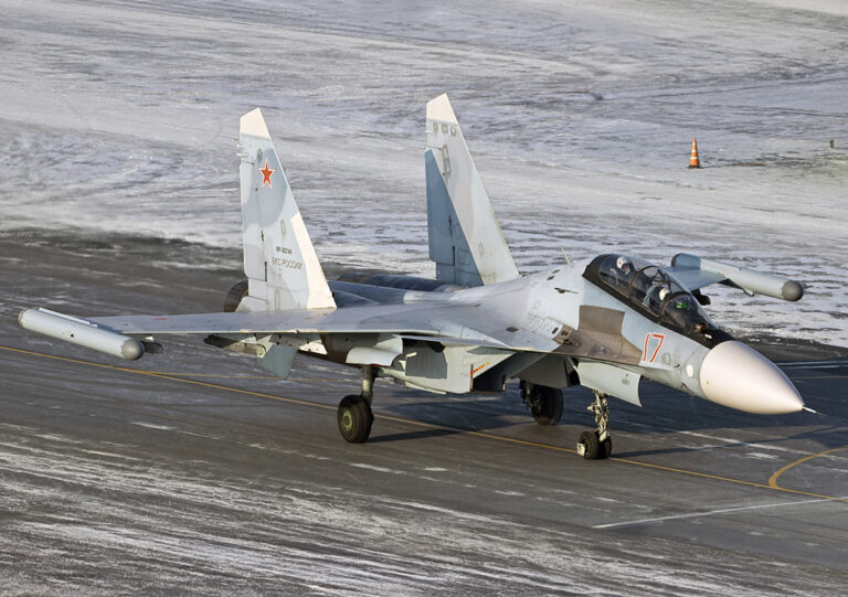 Sukhoi Su-30 (Flanker-C) - War Wings Daily