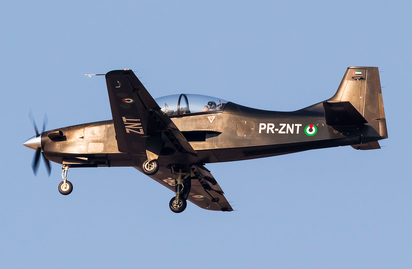 Calidus B-250 (Bader) - War Wings Daily