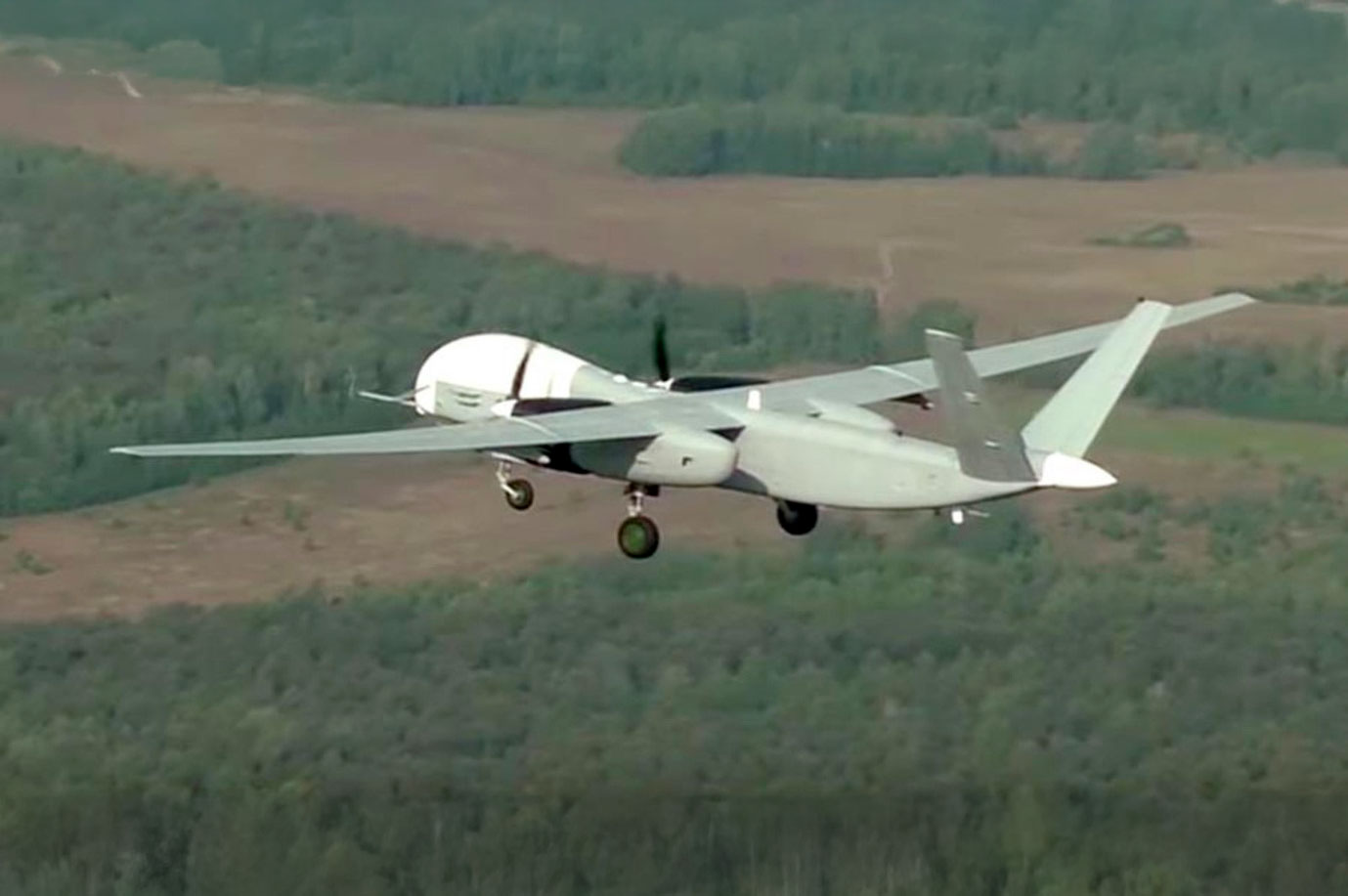 Sokol Altius - War Wings Daily